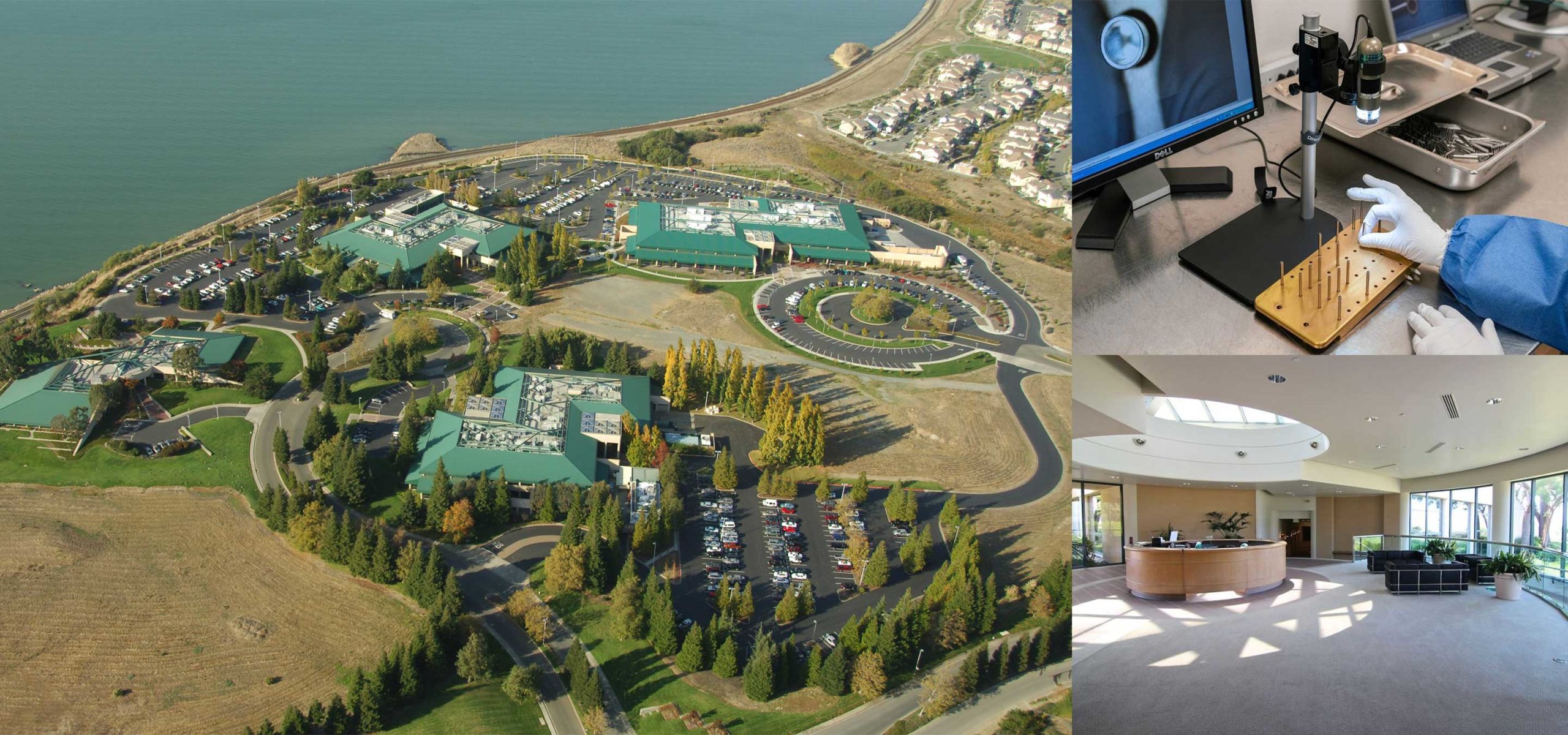 Medical Device - Architects Orange