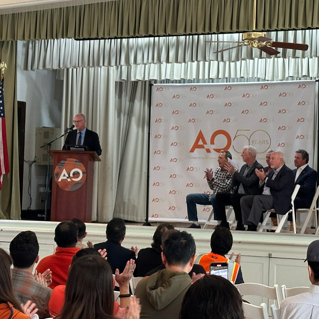 AO | Architecture. Design. Relationships.